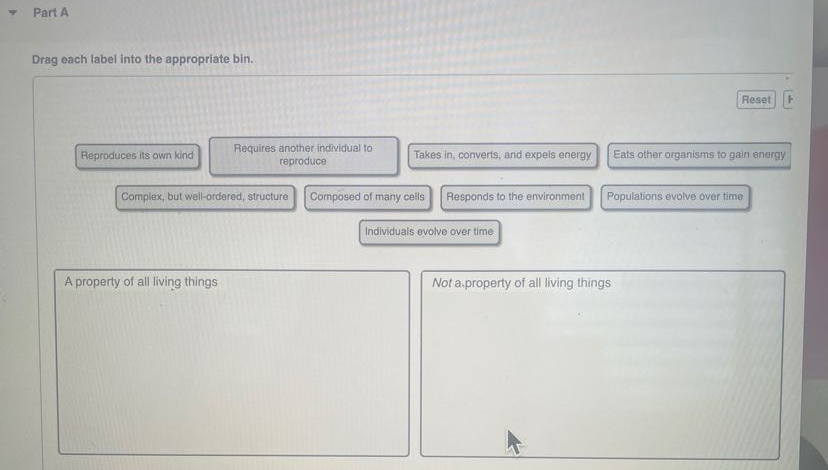 Solved Part ADrag each label into the appropriate bin.Takes | Chegg.com