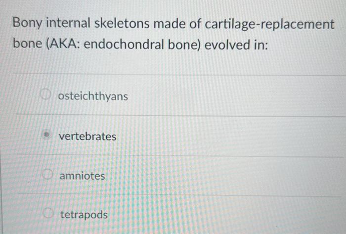 Solved Bony internal skeletons made of cartilage-replacement | Chegg.com