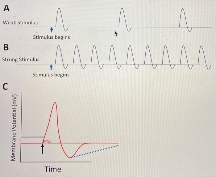 I have provided as much detail as possible for this | Chegg.com