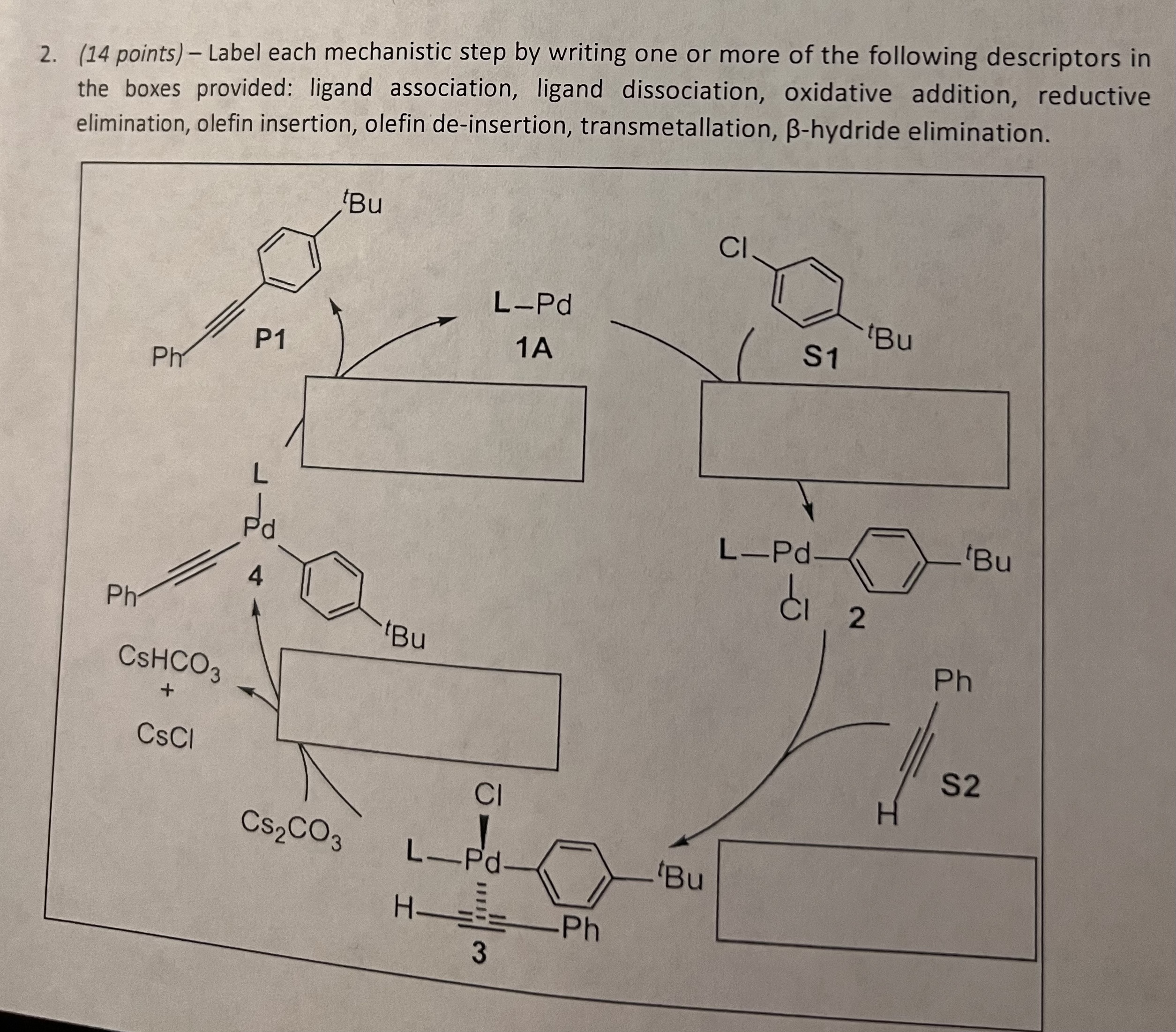 Solved Label each mechanistic step by writing one or more of | Chegg.com