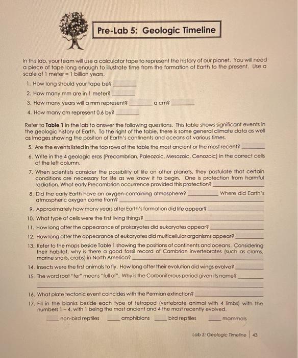 Solved Pre-Lab 5: Geologic Timeline In this lab, your team | Chegg.com