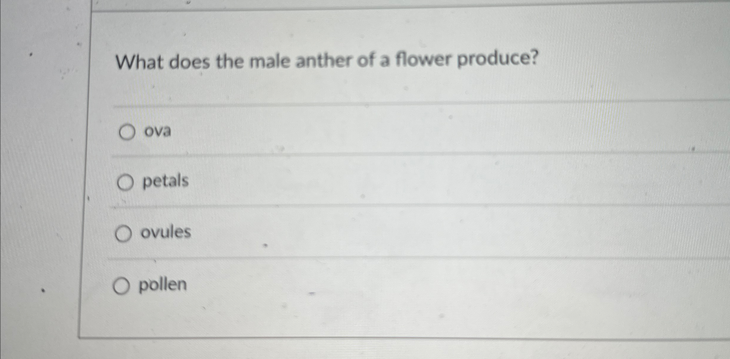 Solved What does the male anther of a flower | Chegg.com