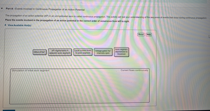 Solved Part A - Events involved in Continuous Propagation of | Chegg.com