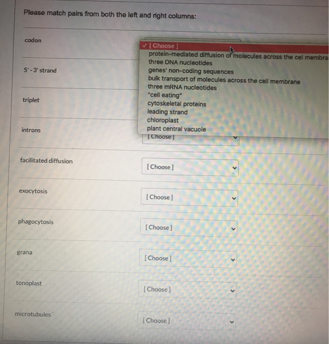 Solved Please match pairs from both the left and right | Chegg.com