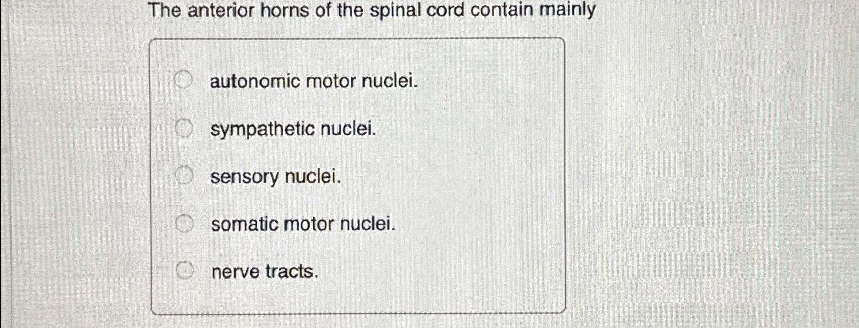 Solved The anterior horns of the spinal cord contain | Chegg.com