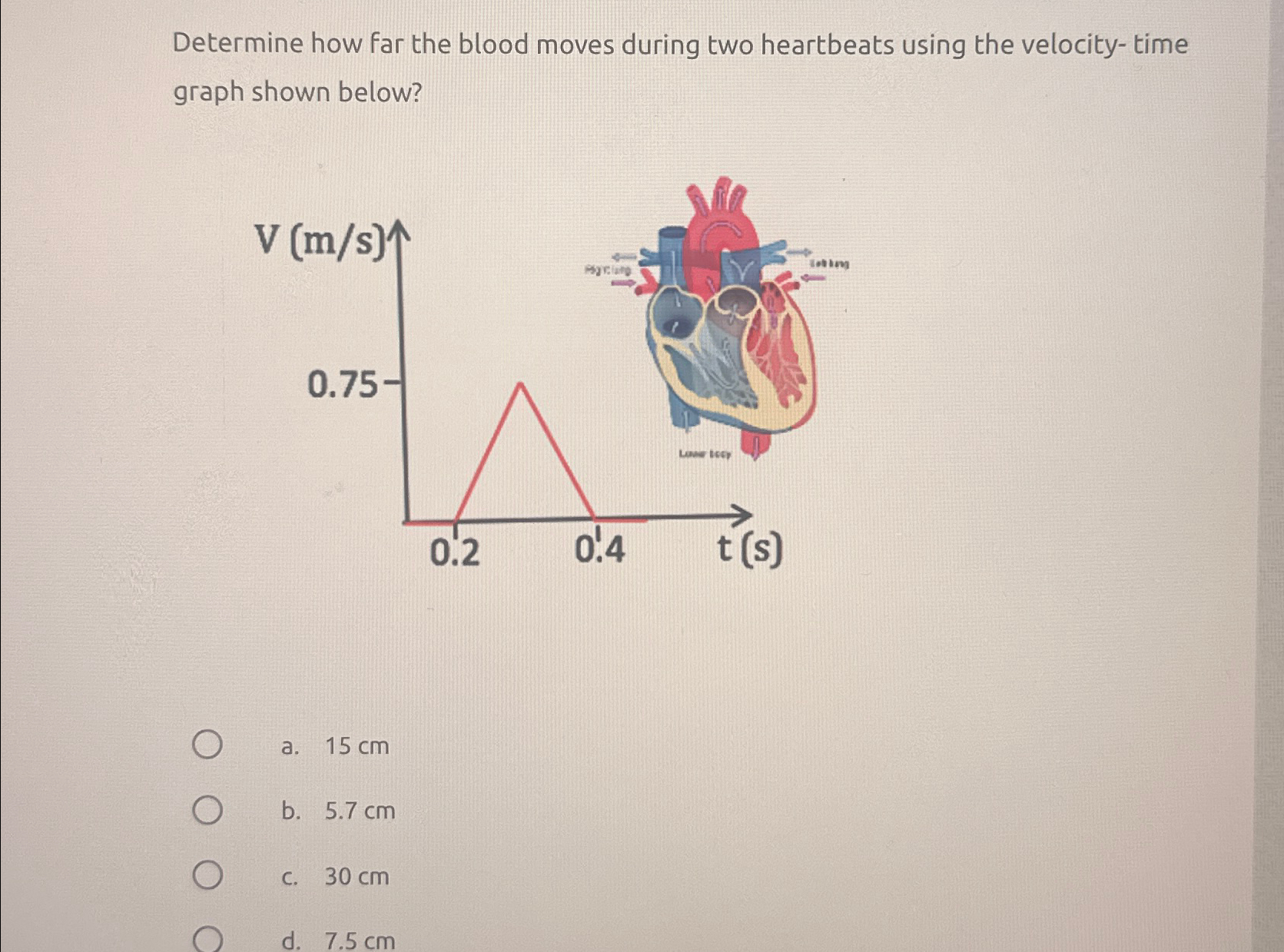 Solved Determine how far the blood moves during two | Chegg.com