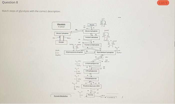 Solved Match steps of glycolysis with the correct | Chegg.com
