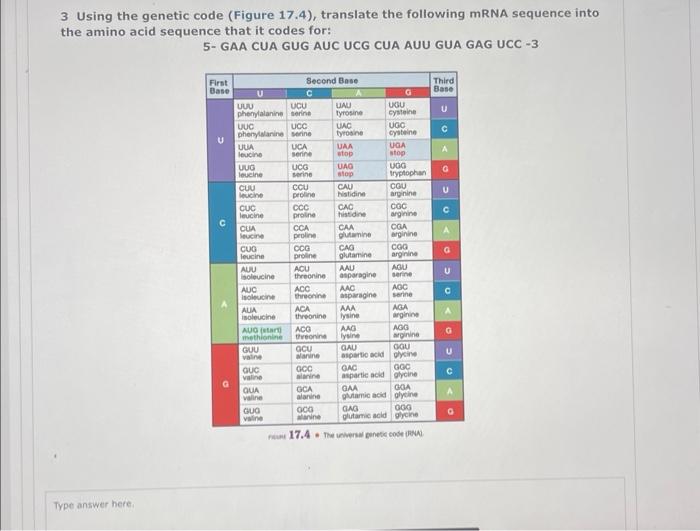 Solved 3 Using the genetic code (Figure 17.4), translate the | Chegg.com