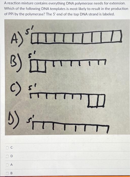 Solved A reaction mixture contains everything DNA polymerase | Chegg.com