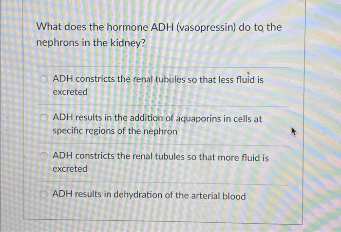 Solved What does the hormone ADH (vasopressin) do to the | Chegg.com