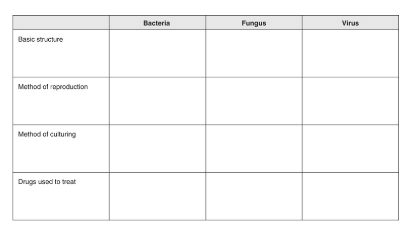 Solved Compare and contrast bacteria, fungi, and viruses, | Chegg.com