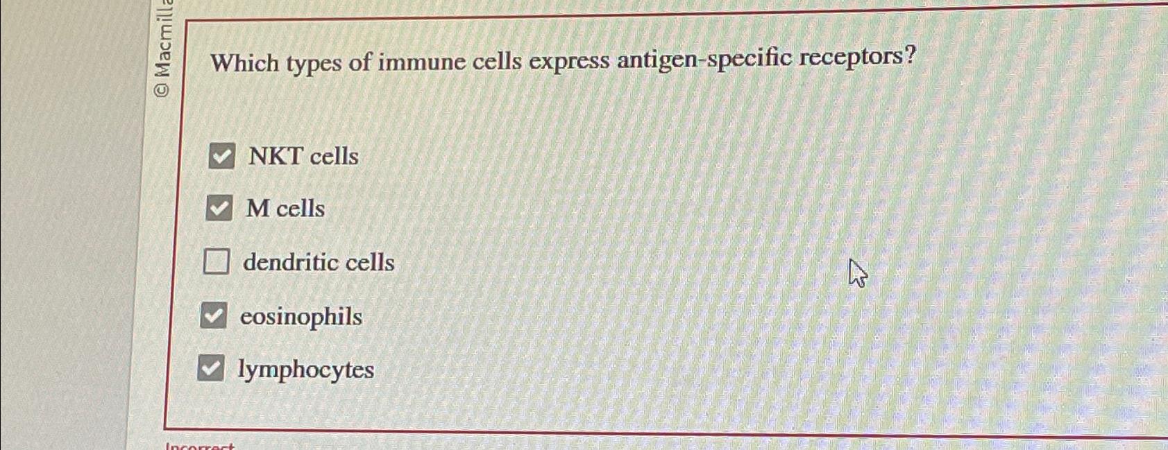 Solved Which types of immune cells express antigen-specific | Chegg.com