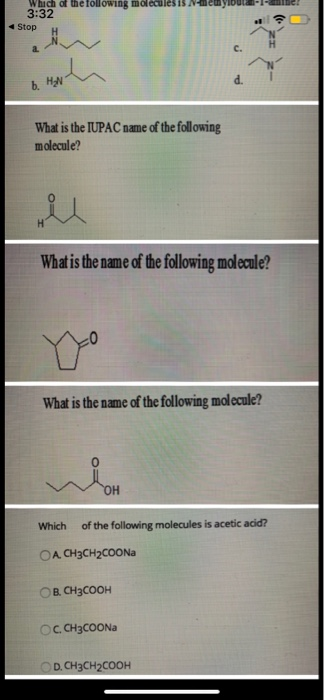 Solved Which of the following molecules 13 N | Chegg.com