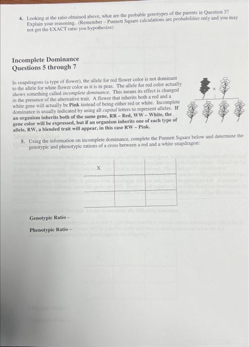 Solved 4. Looking at the ratio obtained above, what are the | Chegg.com