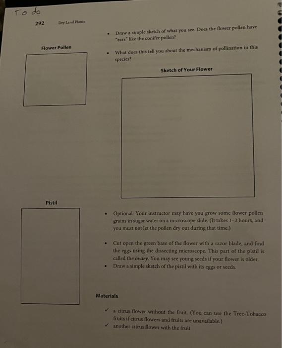 Solved Materials A broad leaf from the mallow tree. (A | Chegg.com
