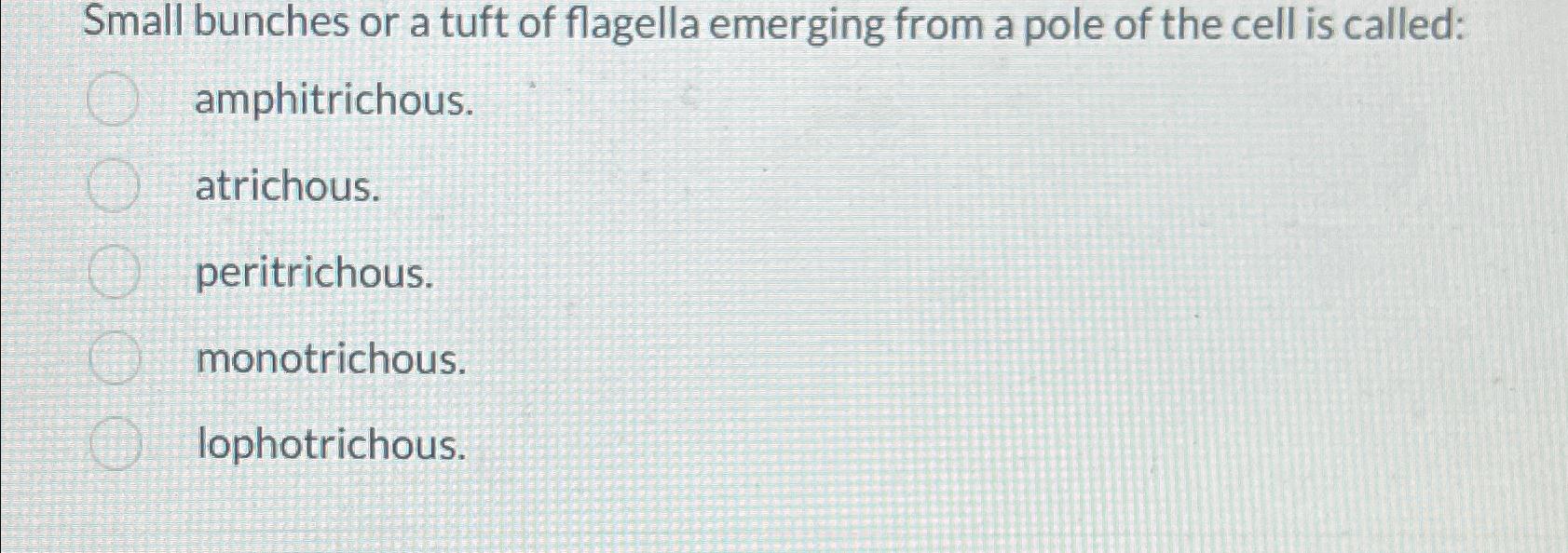 Solved Small bunches or a tuft of flagella emerging from a | Chegg.com