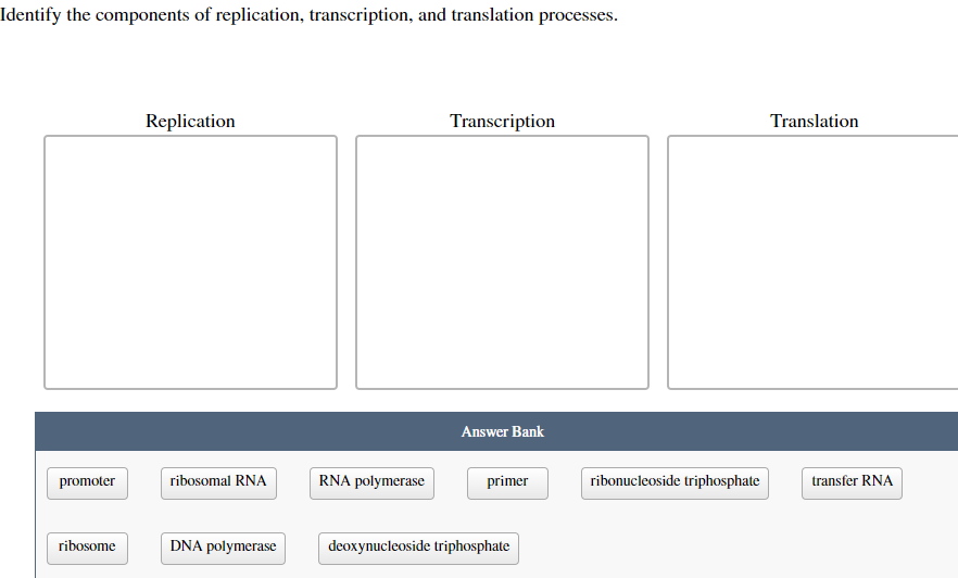 Solved Identify the components of replication, | Chegg.com