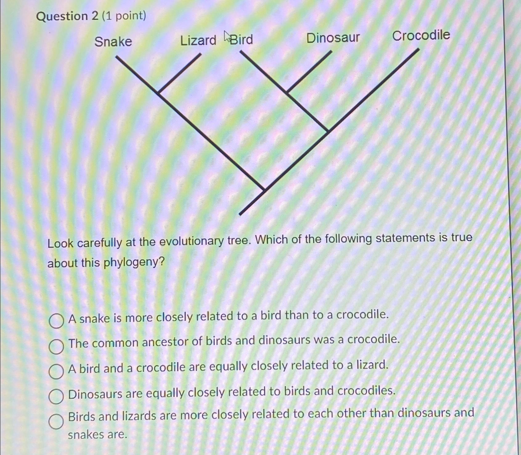 Solved Question 2 (1 ﻿point)Look carefully at the | Chegg.com