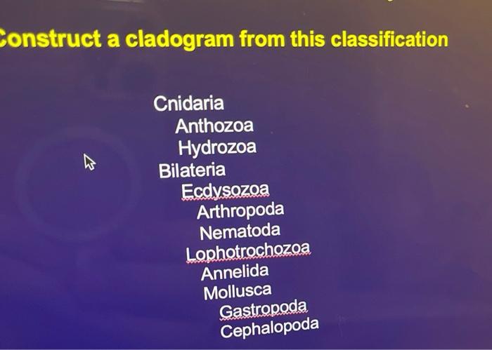 Solved Construct a cladogram from this classification | Chegg.com