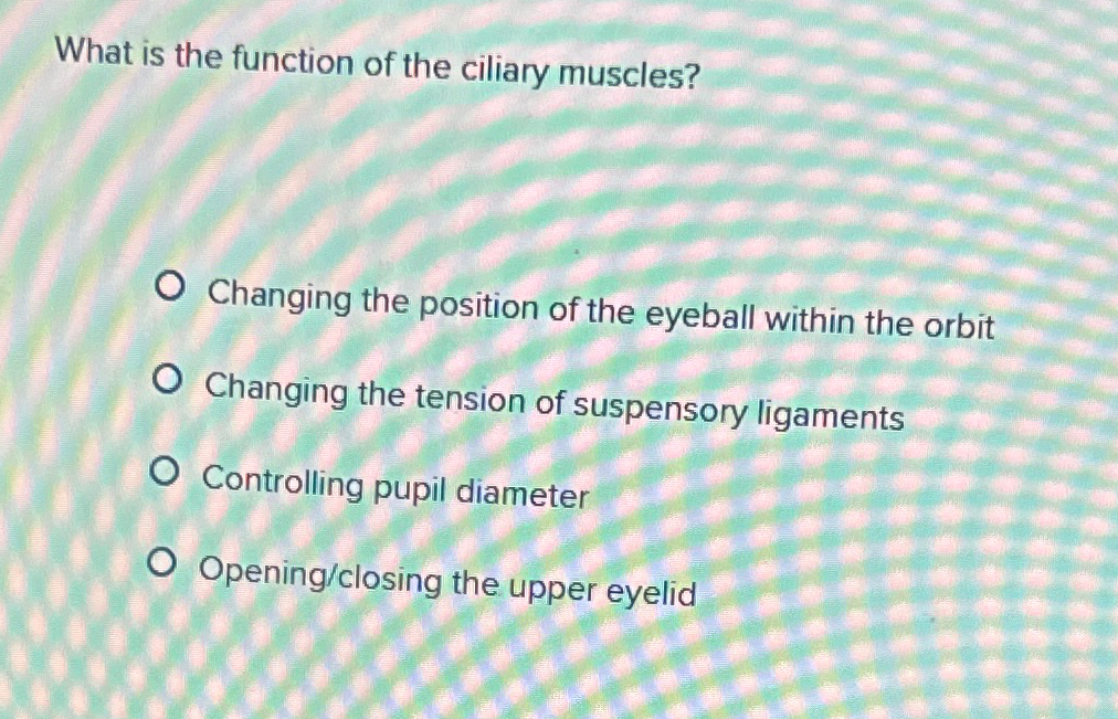 Solved What is the function of the ciliary muscles?Changing | Chegg.com