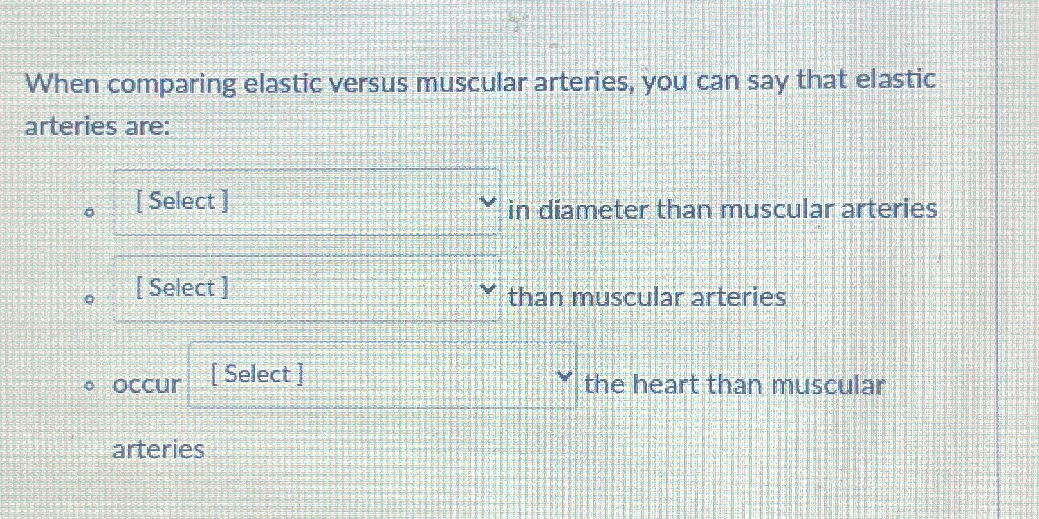 Solved When comparing elastic versus muscular arteries, you | Chegg.com