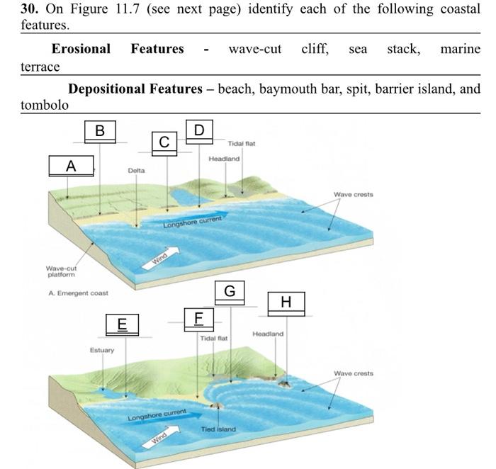 Solved 30. On Figure 11.7 (see next page) identify each of | Chegg.com