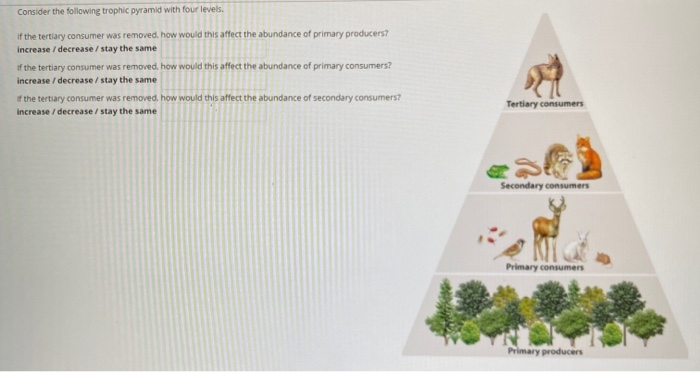 Solved Consider the following trophic pyramid with four | Chegg.com