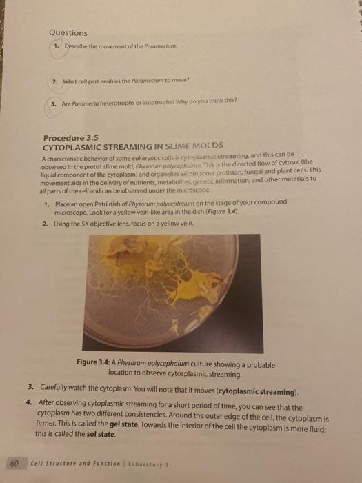 LABORATORY 3 CELL STRUCTURE AND FUNCTION Name: Date: | Chegg.com