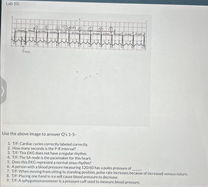 Solved Lab 10: Use the above image to answer Q's 1-5- 1. | Chegg.com