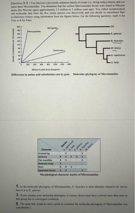 Solved [Questions 1-3 ] You discover a previously unknown | Chegg.com