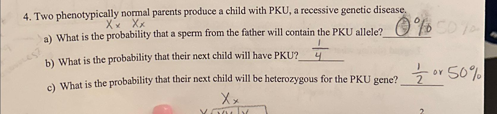 Solved Two phenotypically normal parents produce a child | Chegg.com