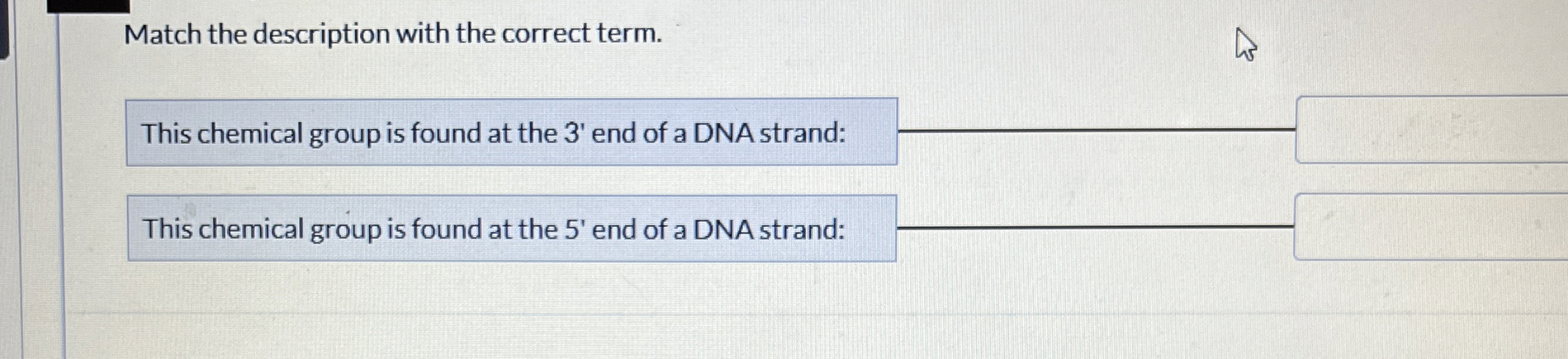 Solved Match the description with the correct term.This | Chegg.com