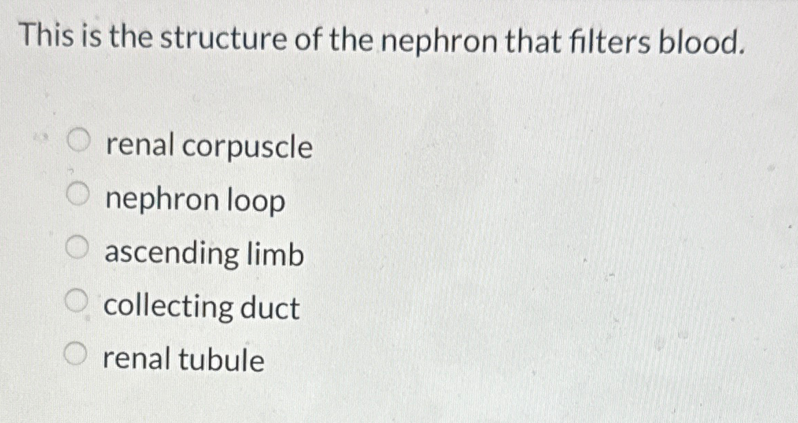 Solved This is the structure of the nephron that filters | Chegg.com