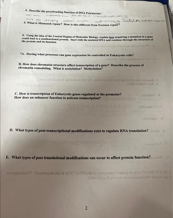 Solved 4. Describe the proofreading function of DNA | Chegg.com