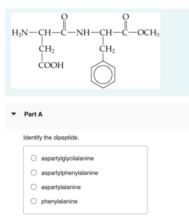 Solved Identify the dipeptide. aspartylglycilalanine | Chegg.com