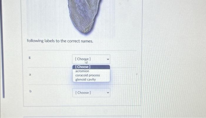 Solved following labels to the correct names. | Chegg.com