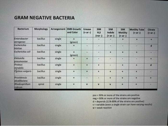 Solved You perform several tests on an unidentified | Chegg.com