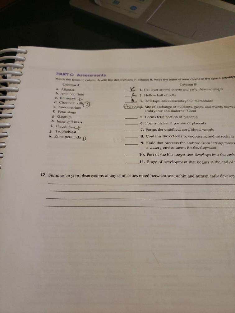 Solved Column r. Fetal stage PART C: Assessments Match the | Chegg.com