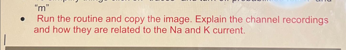 Solved Run the routine and copy the image. Explain the | Chegg.com
