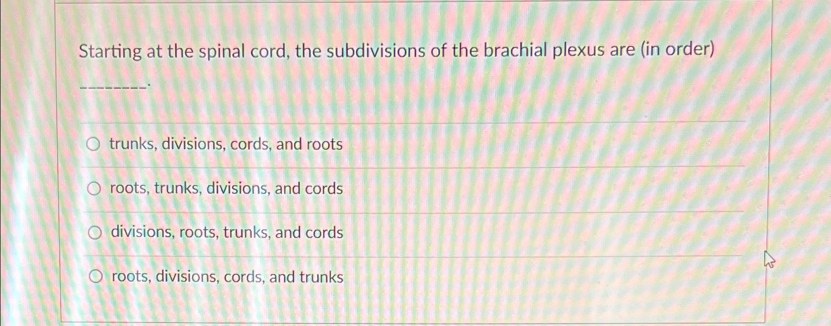 Starting at the spinal cord, the subdivisions of the | Chegg.com