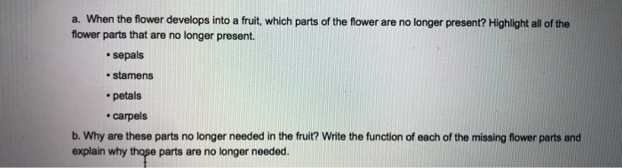 Solved a. When the flower develops into a fruit, which parts | Chegg.com