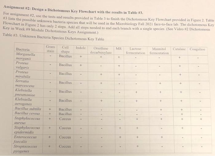 Assignment #2: Design Dichotomus Key Flowchart with | Chegg.com