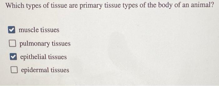 Solved Which types of tissue are primary tissue types of the | Chegg.com