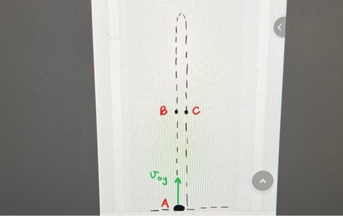 Solved A rock is thrown directly up with an initial velocity | Chegg.com
