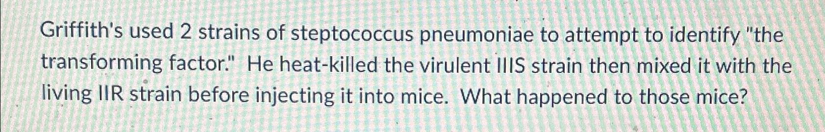Solved Griffiths Used 2 ﻿strains Of Steptococcus Pneumoniae