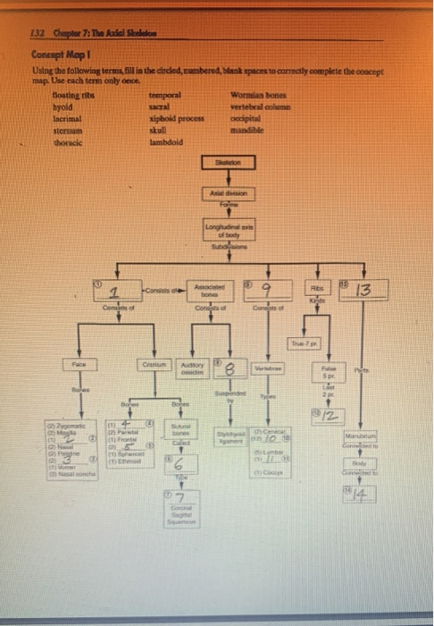 Solved 132 Chapler 7: The Sodel Sheldon Concept Map Using | Chegg.com