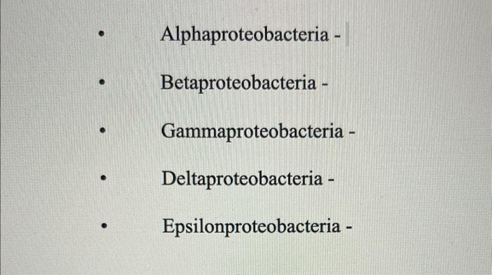 Solved Alphaproteobacteria - Betaproteobacteria - | Chegg.com