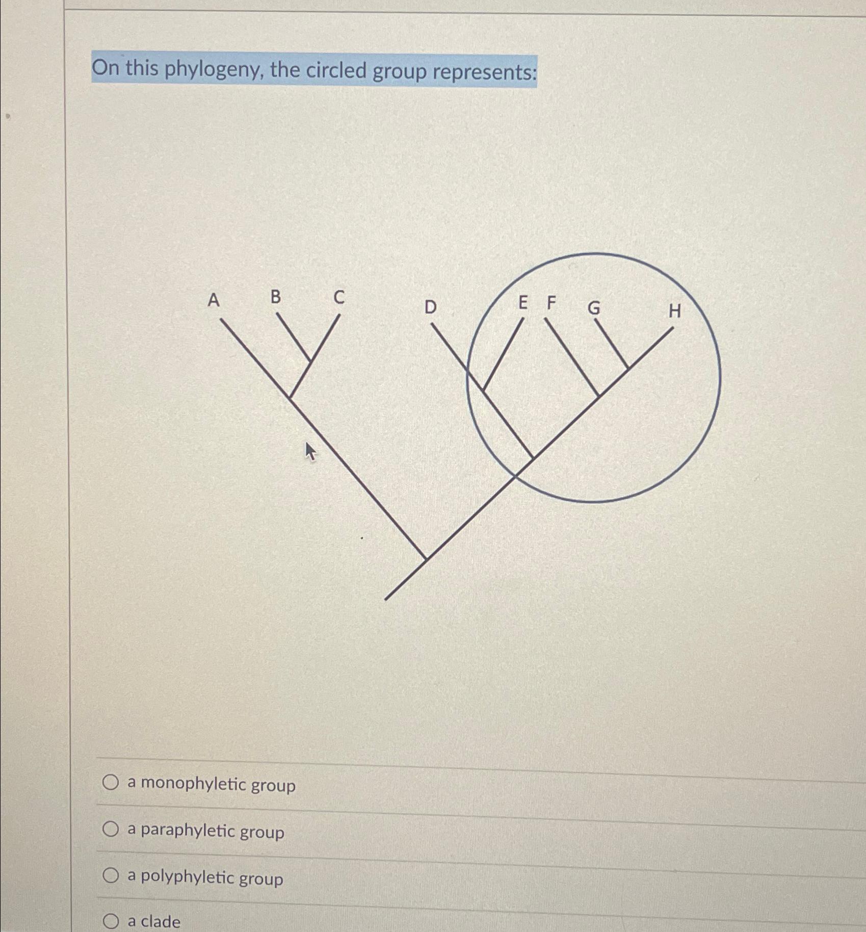 Solved On this phylogeny, the circled group represents:a | Chegg.com