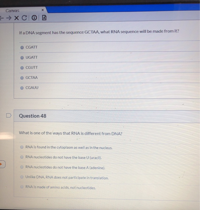 Solved How many different types of bases are used to encode | Chegg.com
