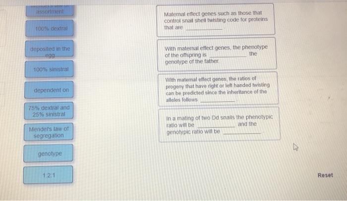 Solved Maternal effect defined Complete each sentence with | Chegg.com